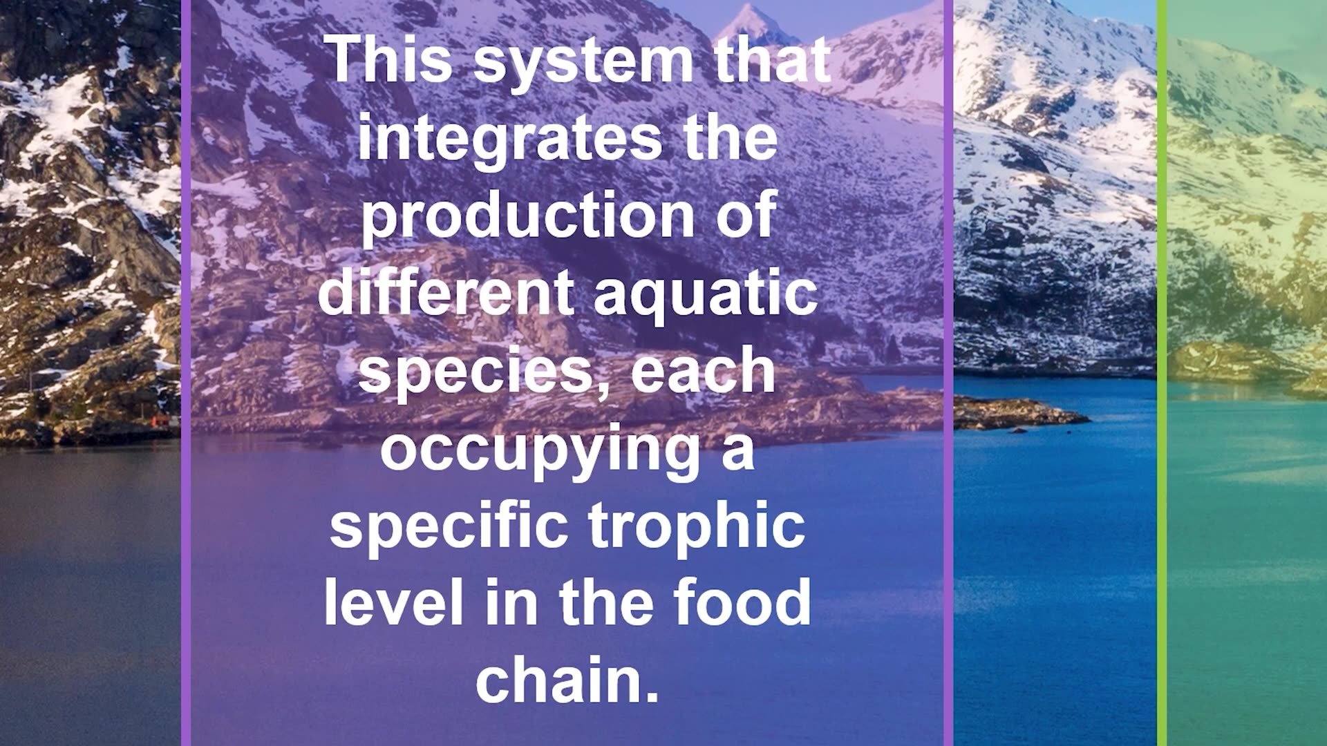 What is Integrated Multi-Trophic Aquaculture (IMTA) System ...