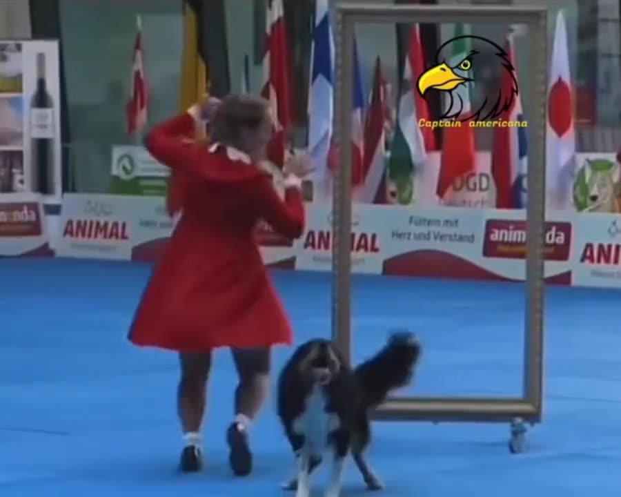 One of the Most Beautiful Dog Human Interaction Videos You Will Ever See