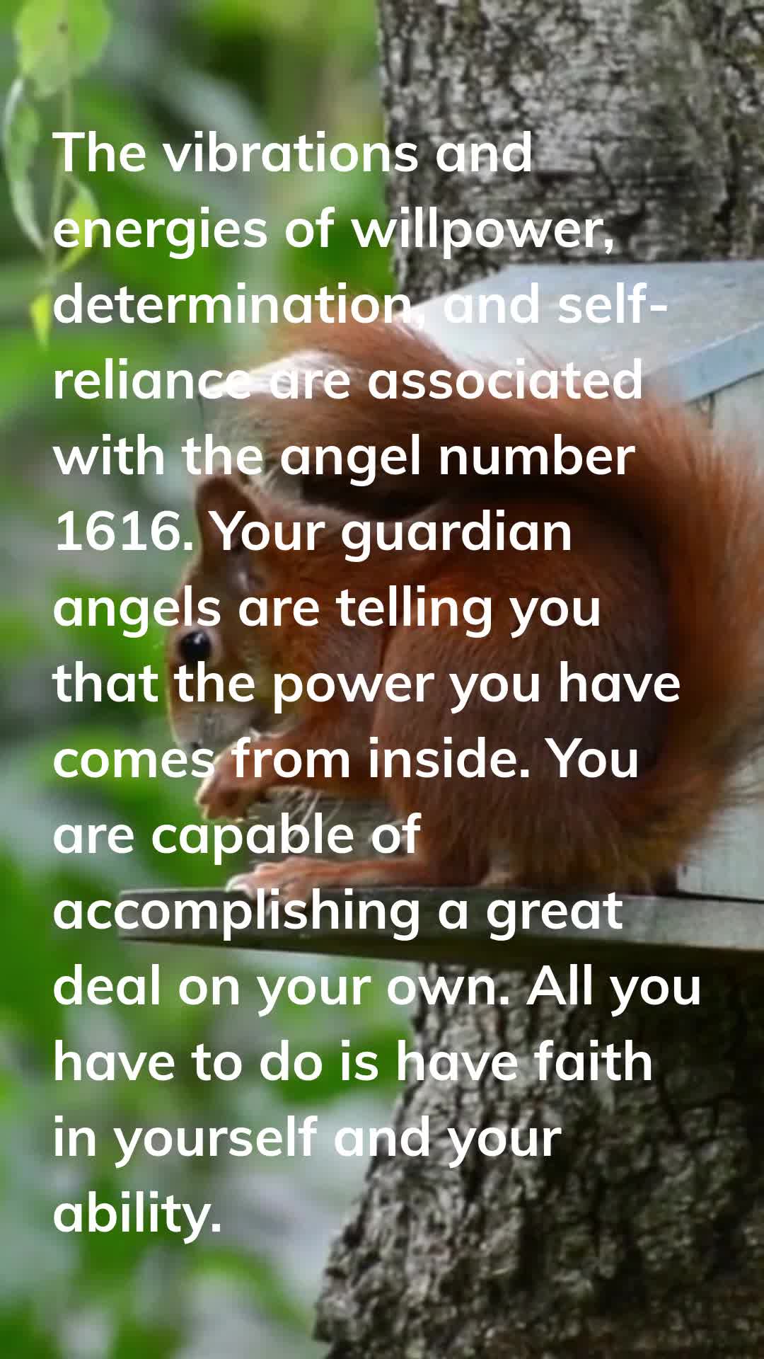 1616 Angel Number Meaning (and message to you) When You See This Number?