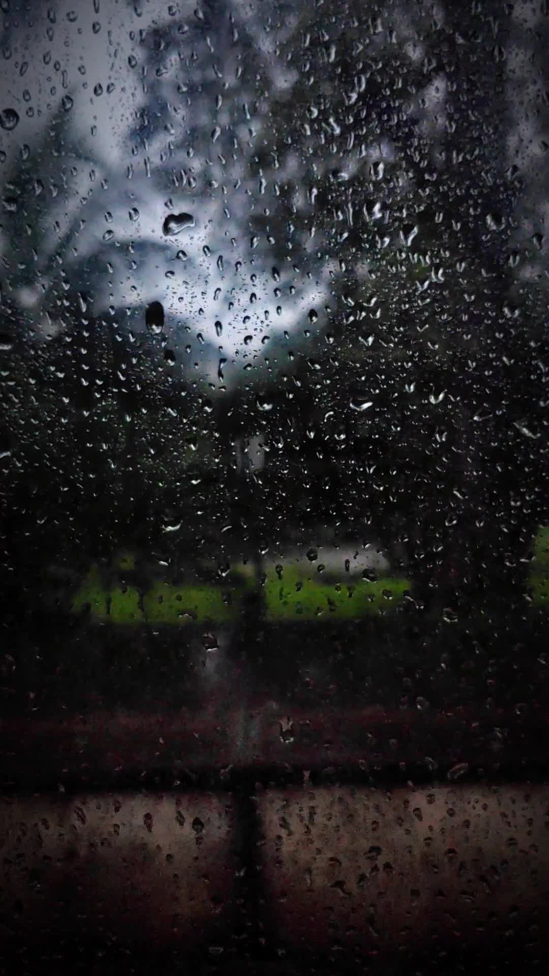Calm Relaxing Rain view from window