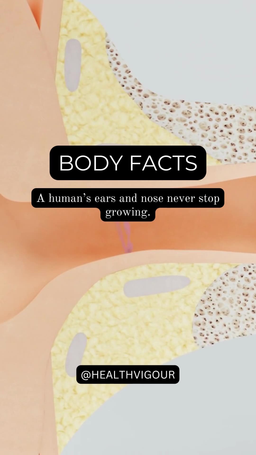 Uncover the Human Body: Remarkable Facts