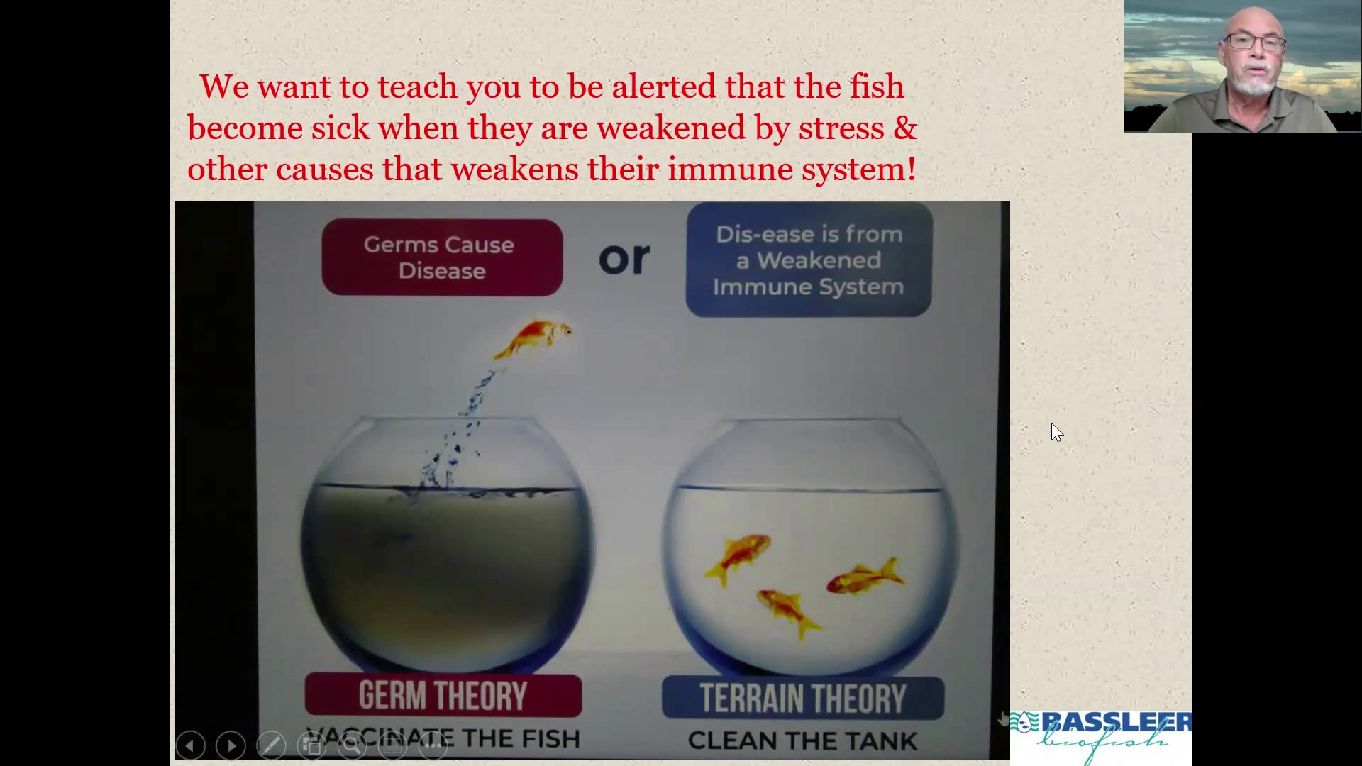 Germ theory versus terrain theory in fish (and all animals on earth ...