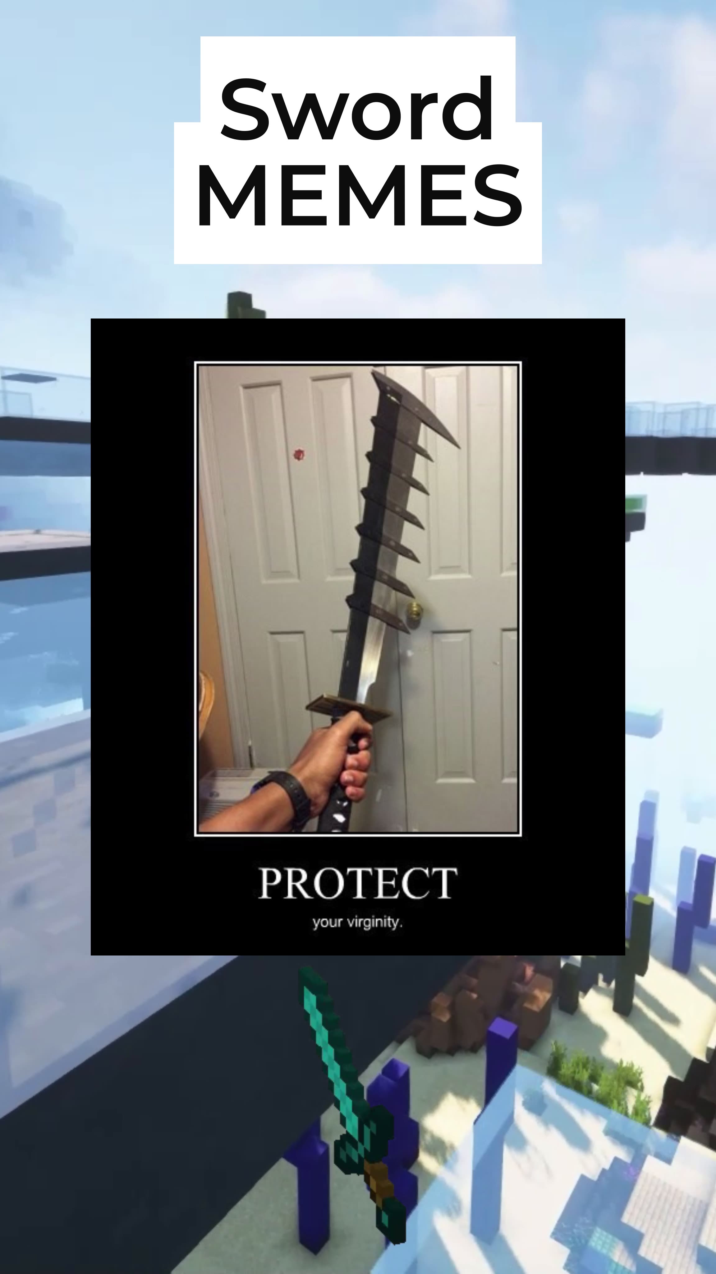 Sword Memes!