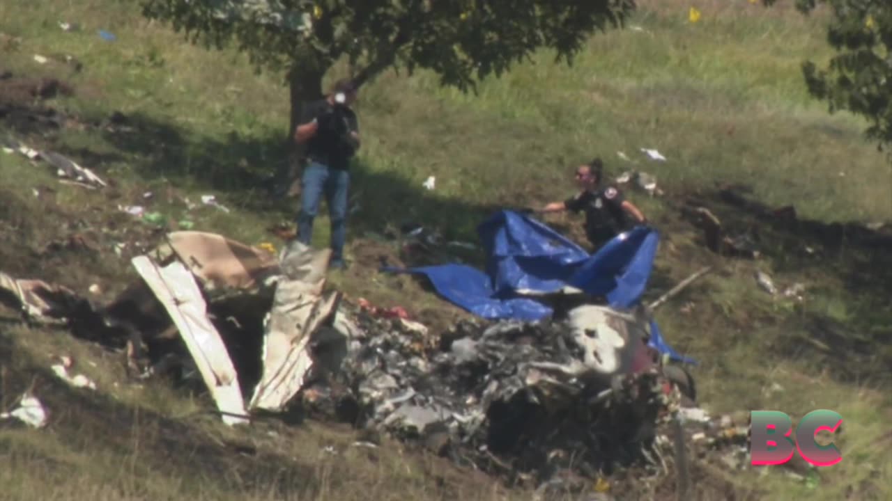 Pilot, 26, dies as her plane crashes after skydiving flight over ...