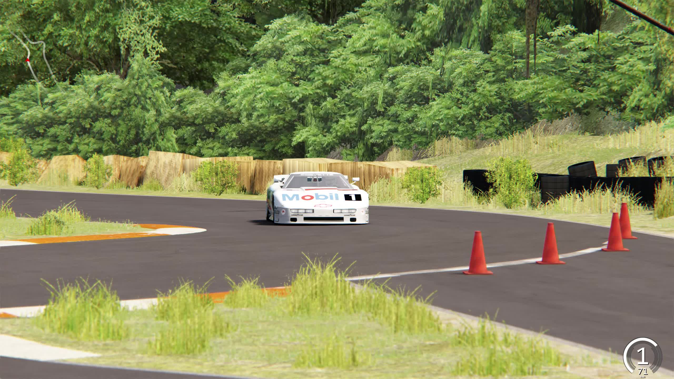 Chevrolet Corvette C4 IMSA GTO / Maze Circuit / Assetto Corsa ...