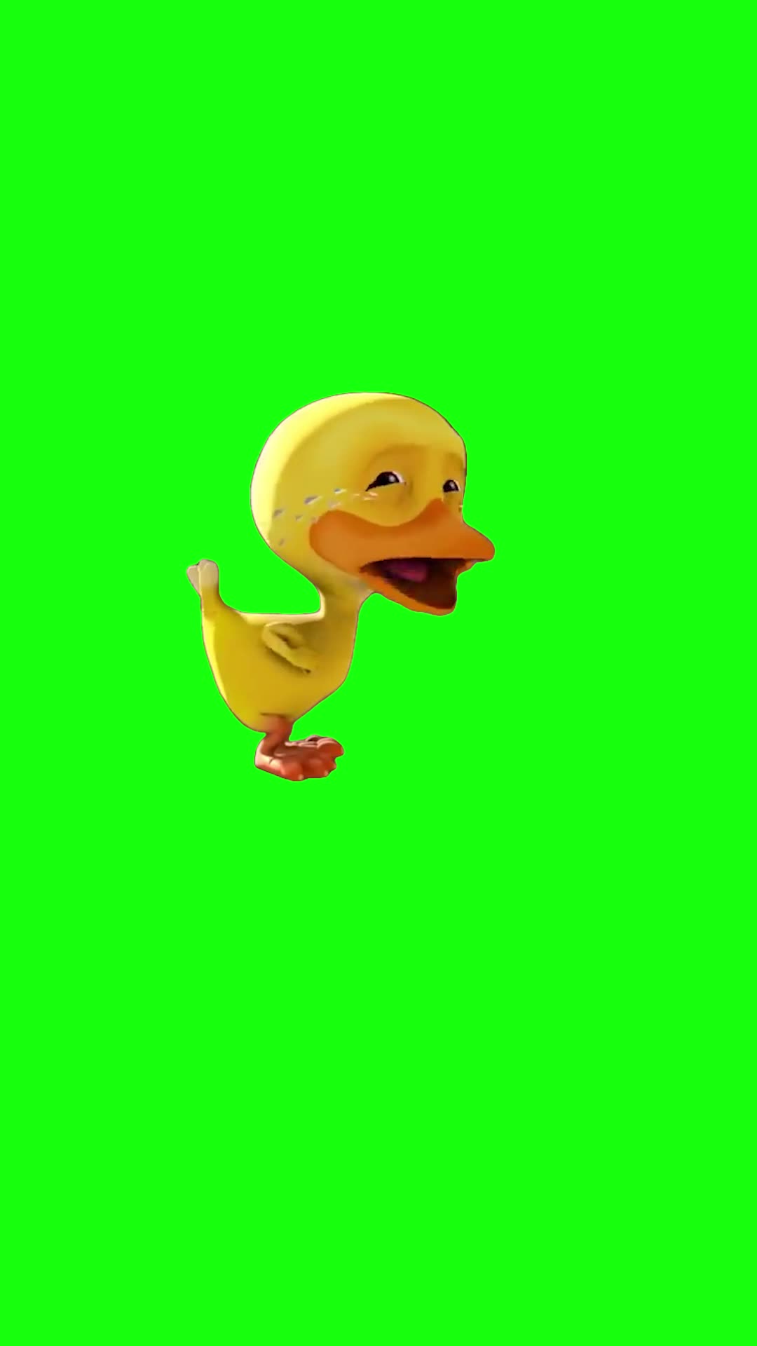 Crying Duck Meme | Green Screen