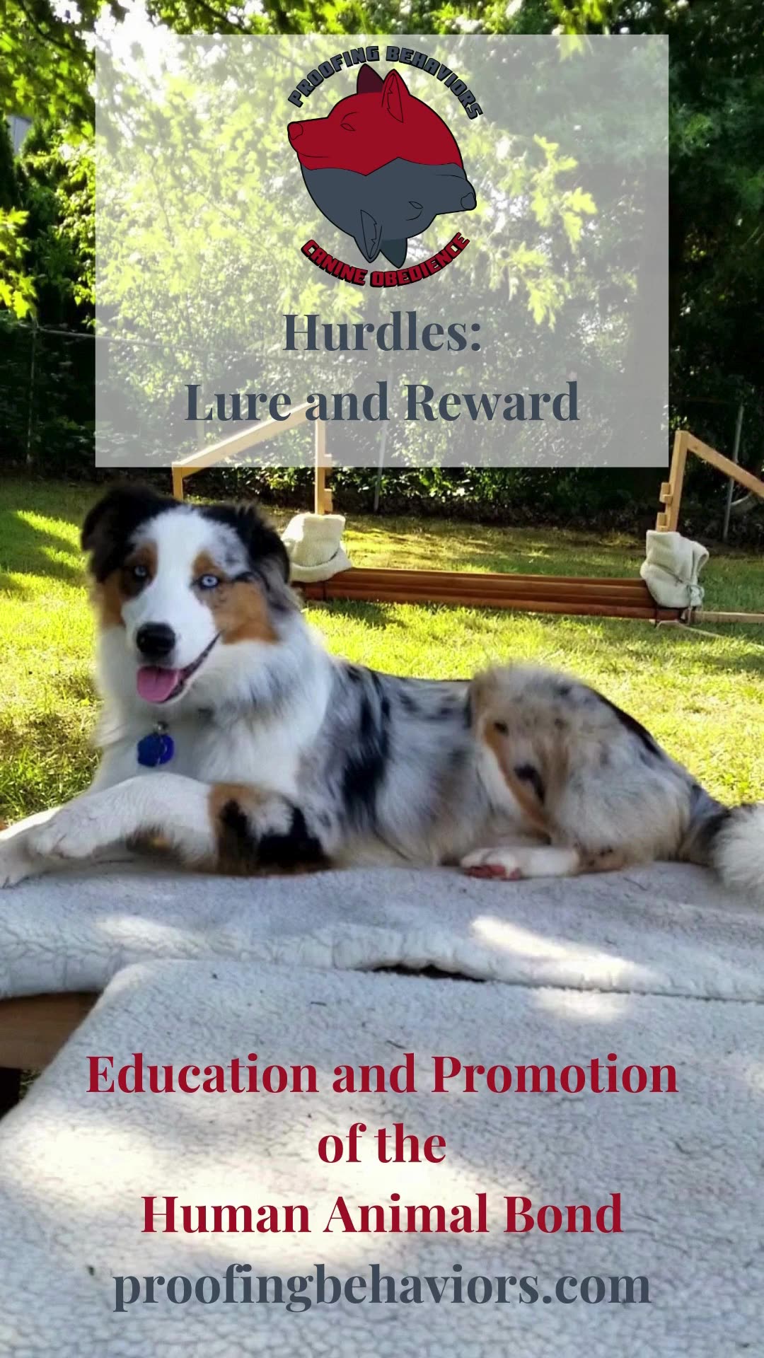 Hurdles practice and training ruff cut podcast cut 6