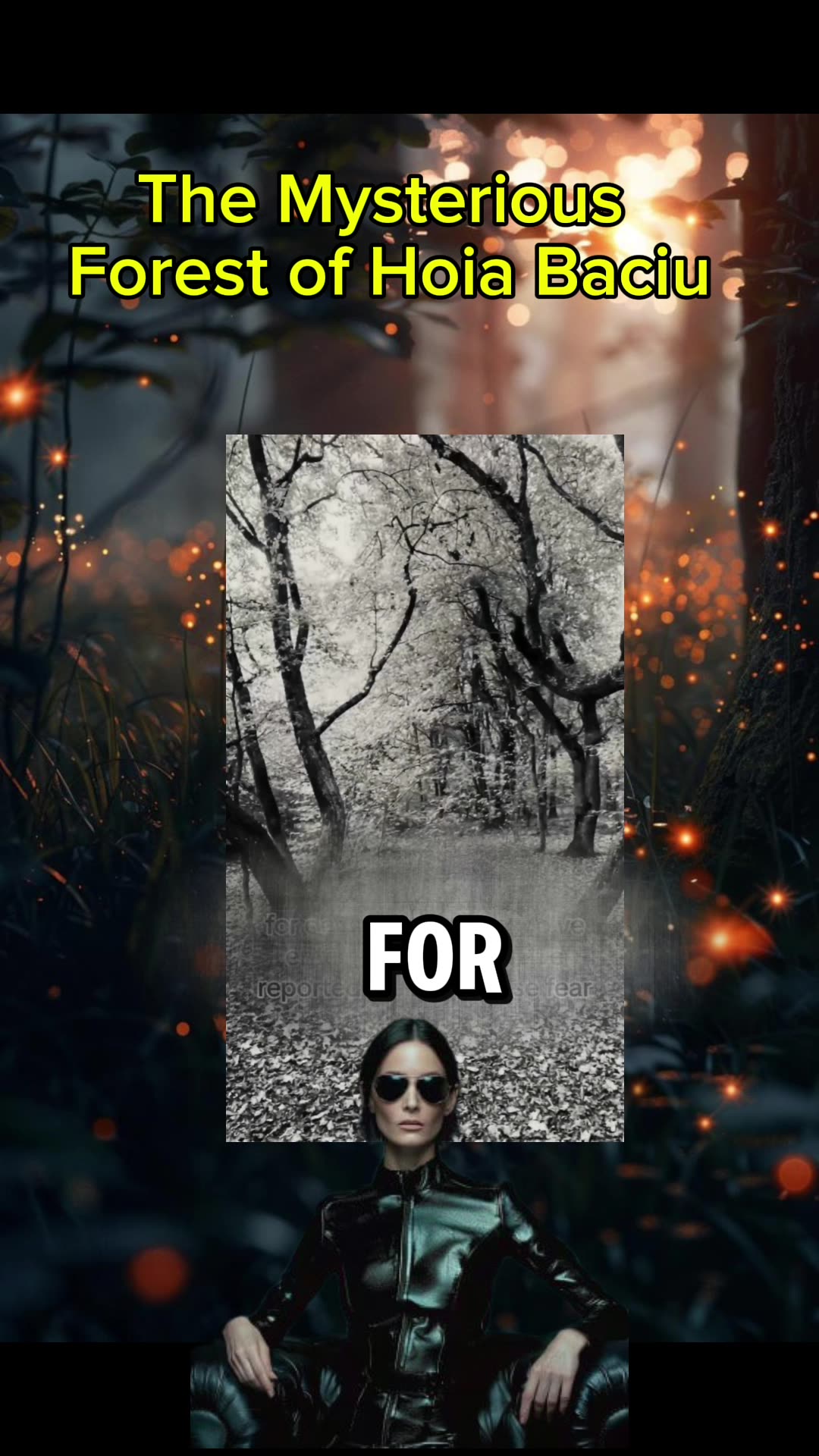 The Mysterious Forest of Hoia Baciu