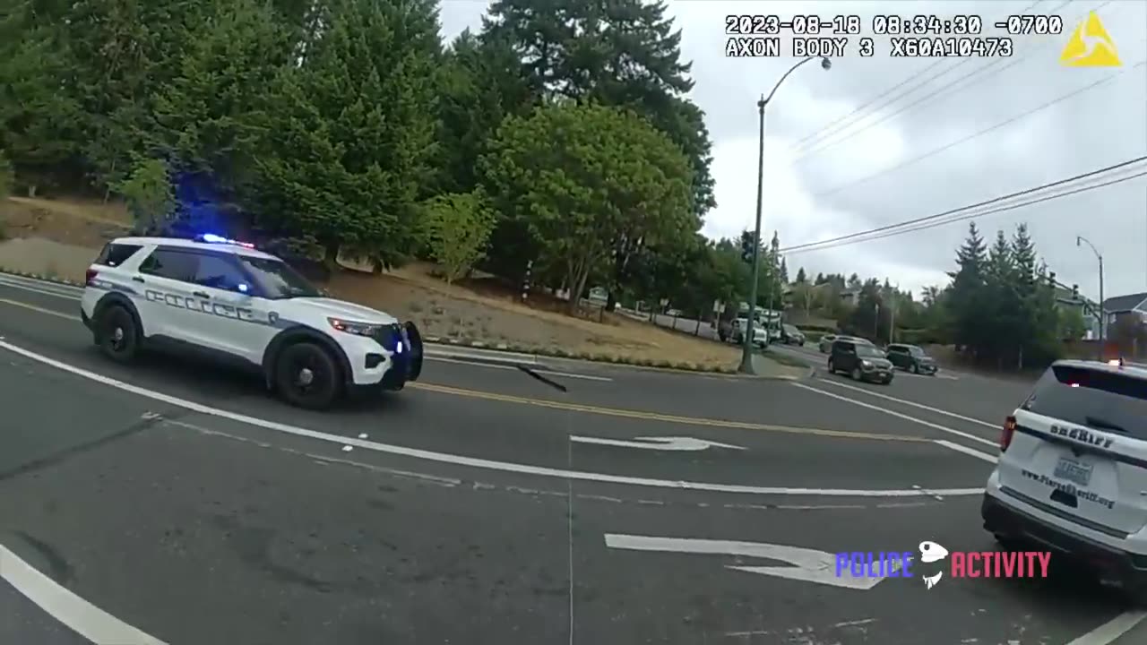 Deputy Barks Like Police K-9 to Trick Car Theft Suspects into Surrendering Deputy Barks Like Police K-9 to Trick Car Theft Suspects into Surrendering