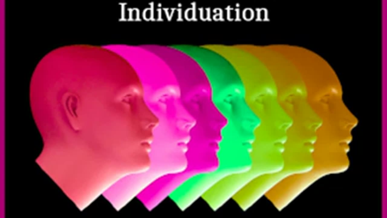 Psychological Types Or- the Psychology of Individuation by Carl Gustav ...