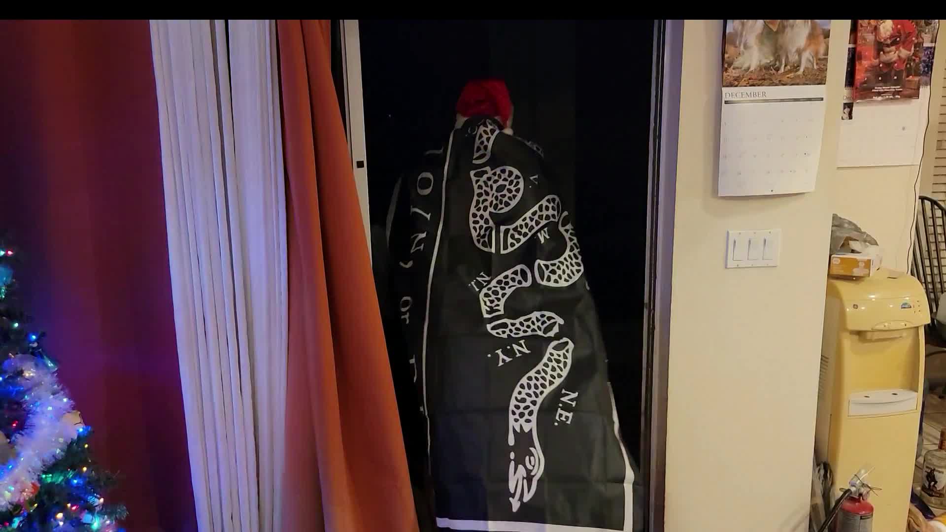 We need a little Justice now - by the Lone Raccoon