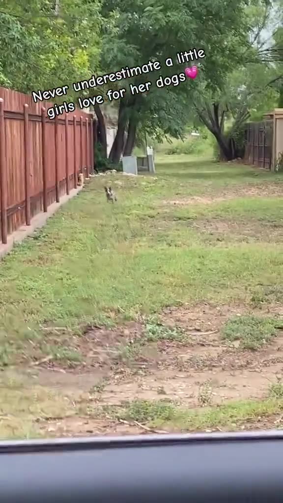Emotional Girl Reunites with Her Lost Dog