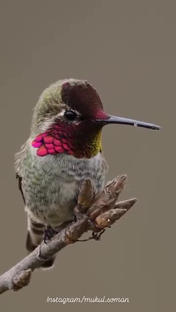 Colors!