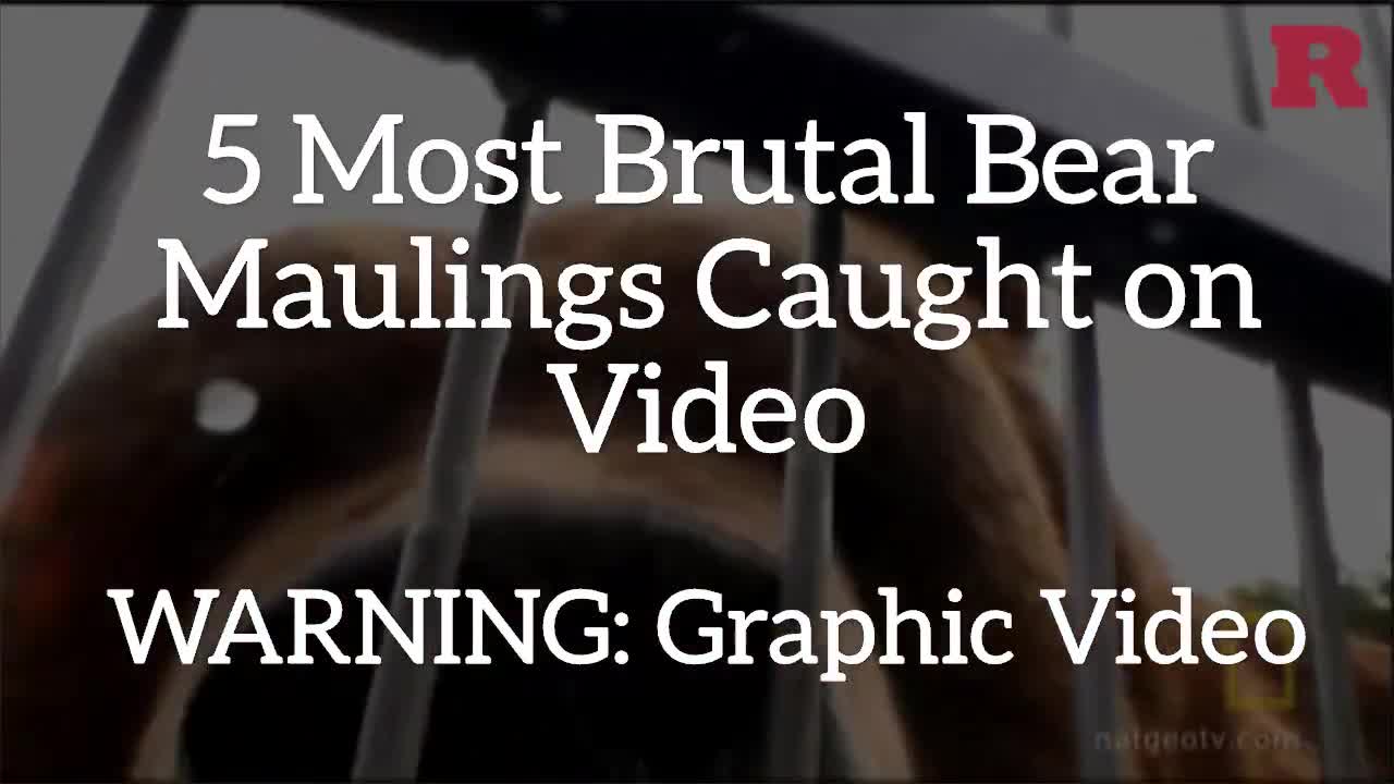 5 Most Brutal Bear Maulings Ever Caught on Camera