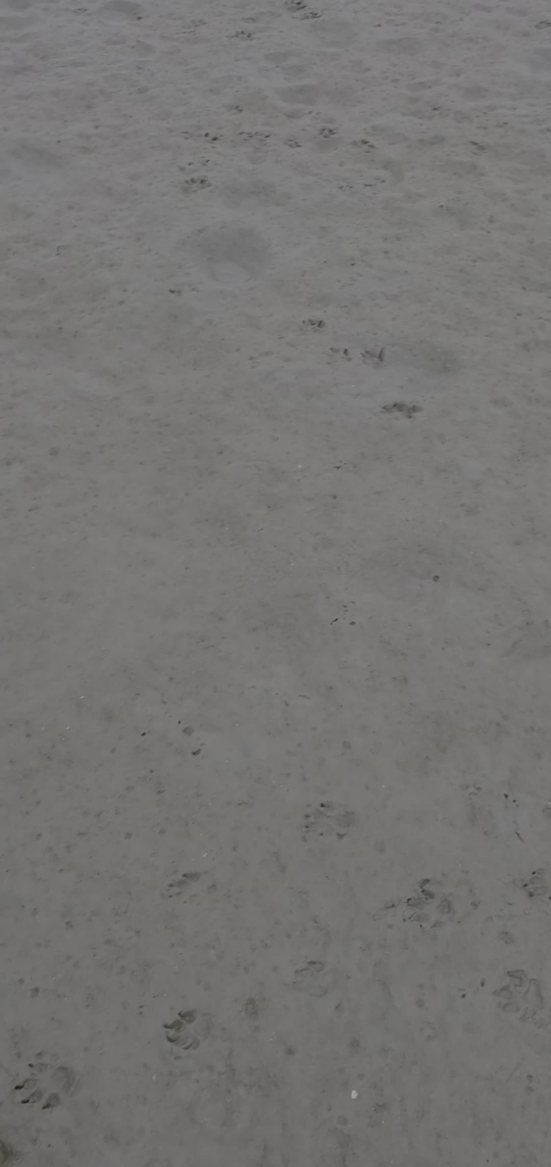 Min pin running on beach