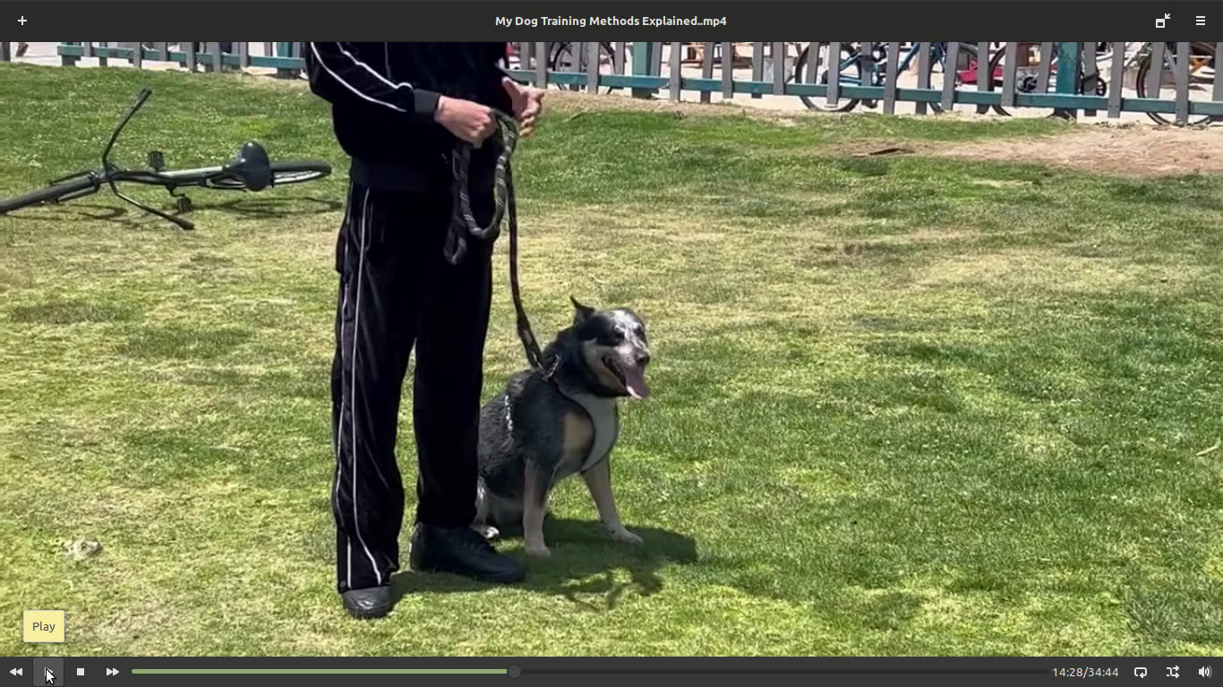 Dog Daddy Explains His Methods. Busted. Let Me Explain The Science ...