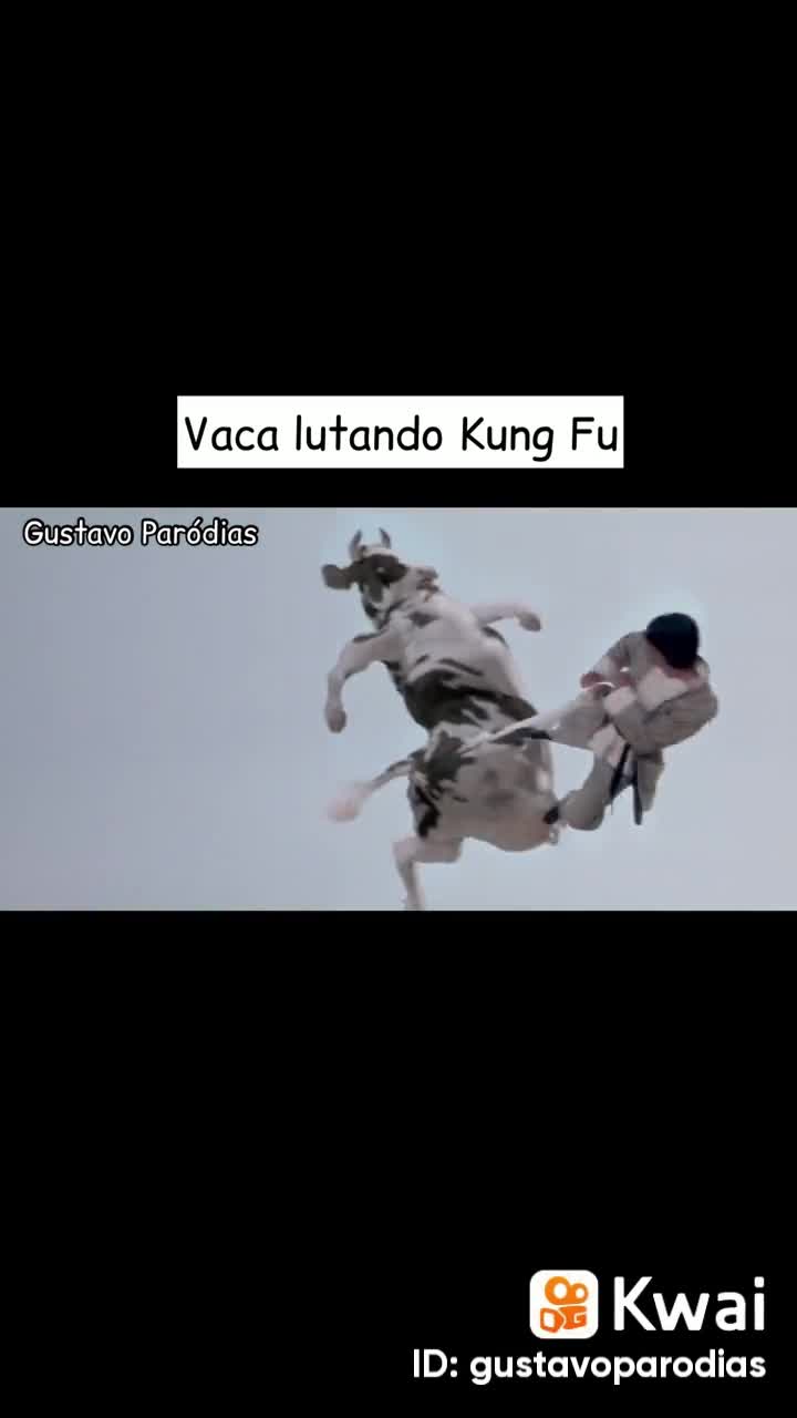 a vaca lutando kung fu