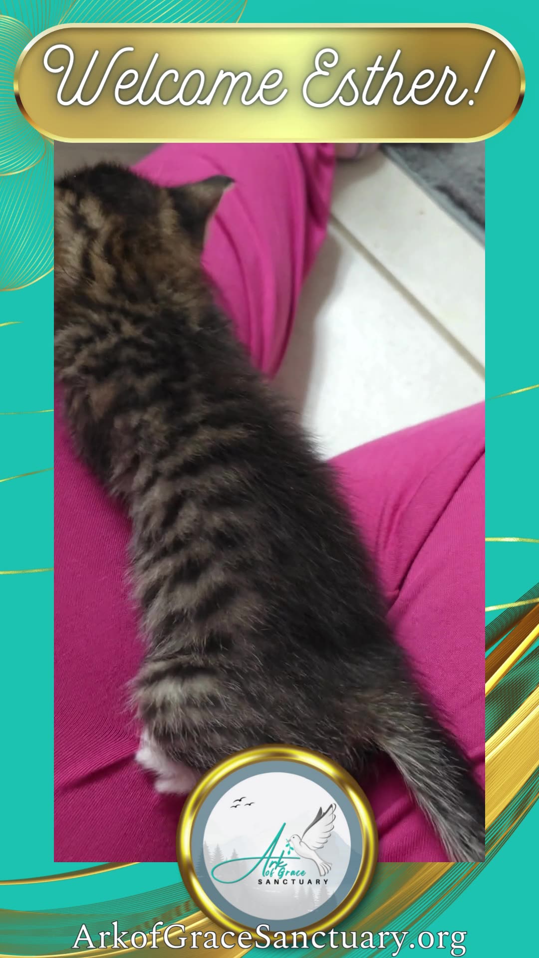 Welcome Esther!
