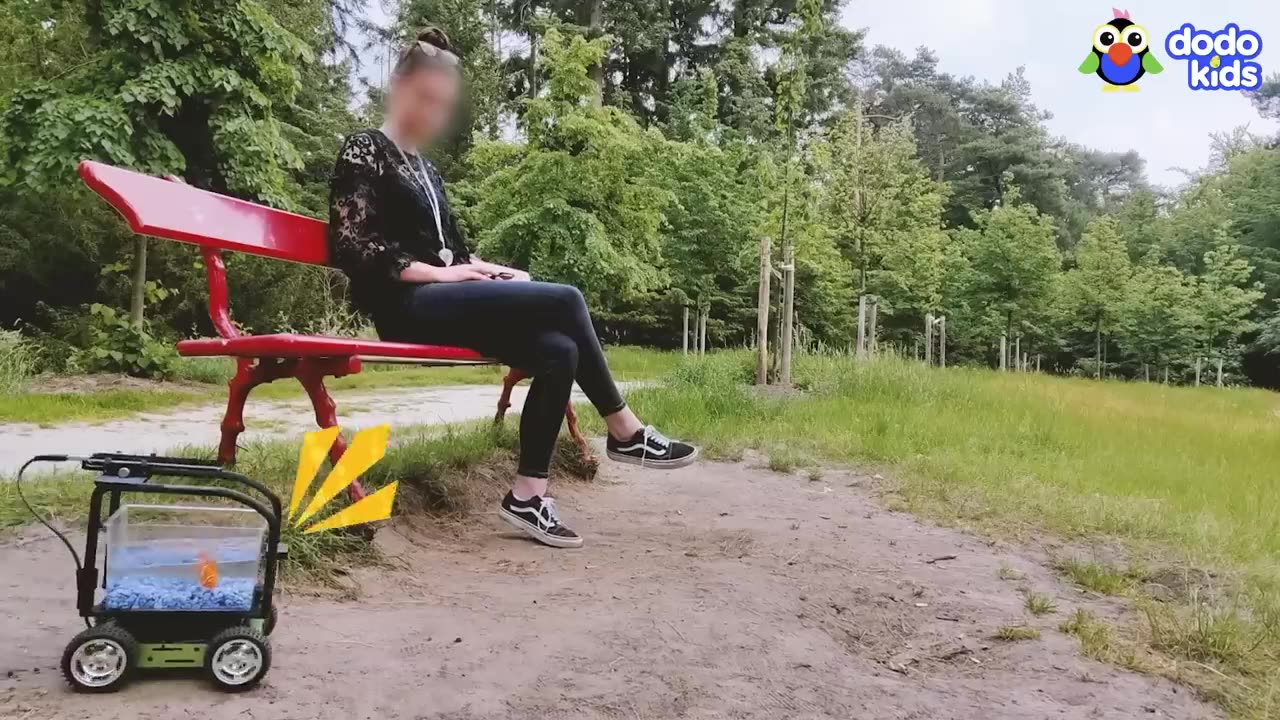 30 Minutes Of Animals Who Love Their High-Tech Humans | Dodo Kids ...