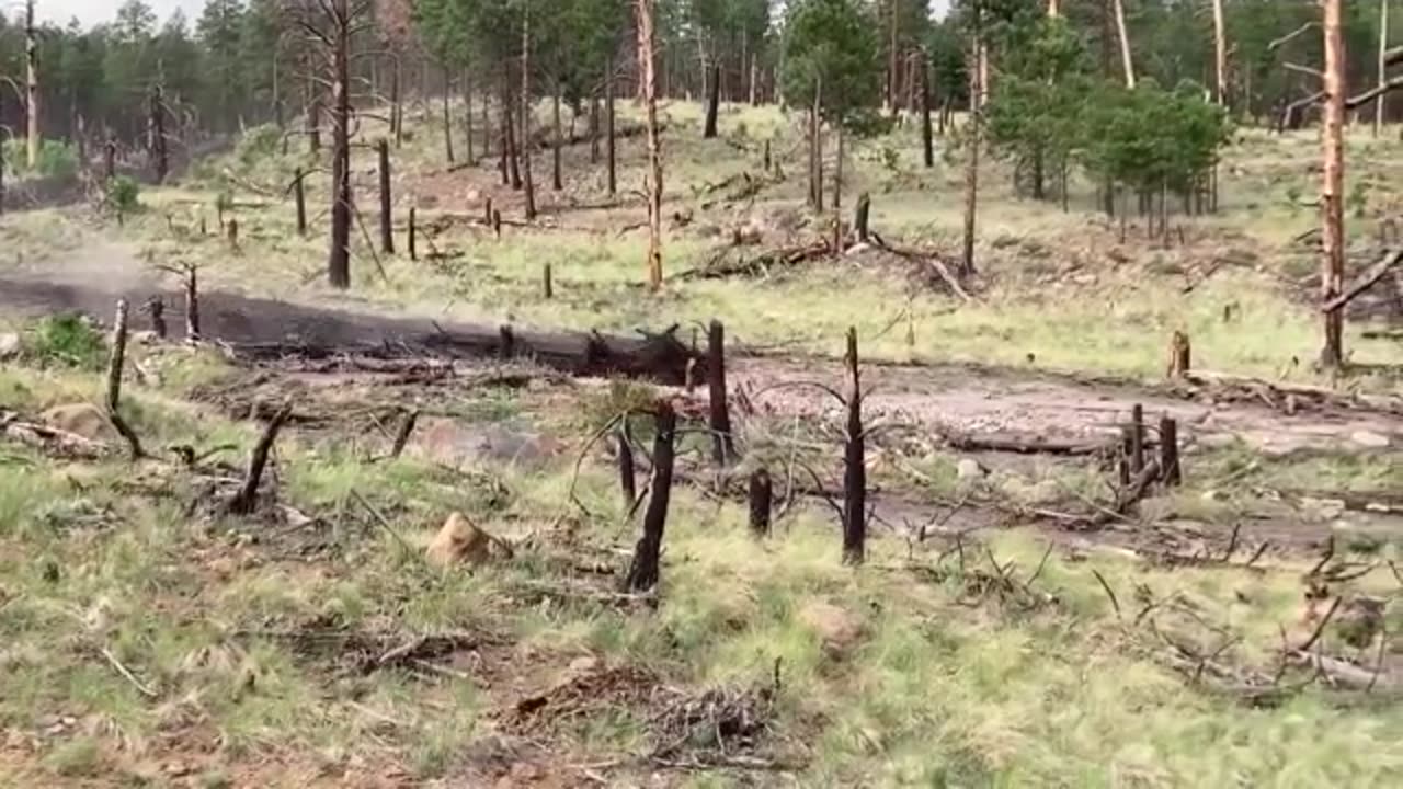 Flash flooding in Flagstaff creates a river of mud and debris in a ...