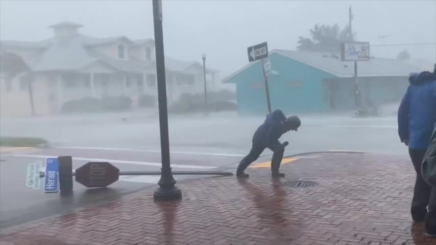 Jim Cantore gets hit by a flying tree branch during hurricane report Jim Cantore gets hit by a flying tree branch during hurricane report