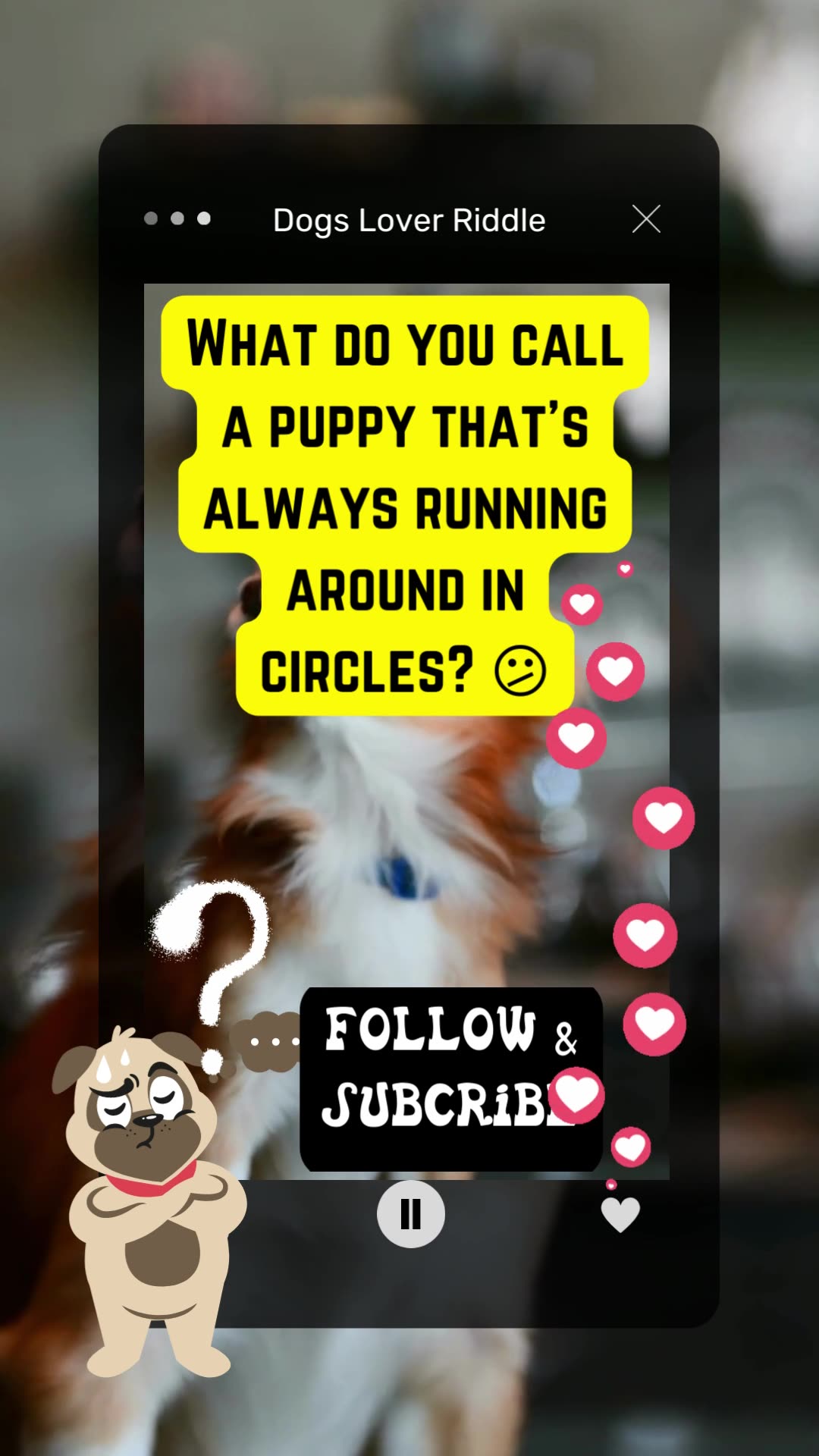 Dogs Riddle | Dogs Riddles in English | Riddles with Answer | Hard ...