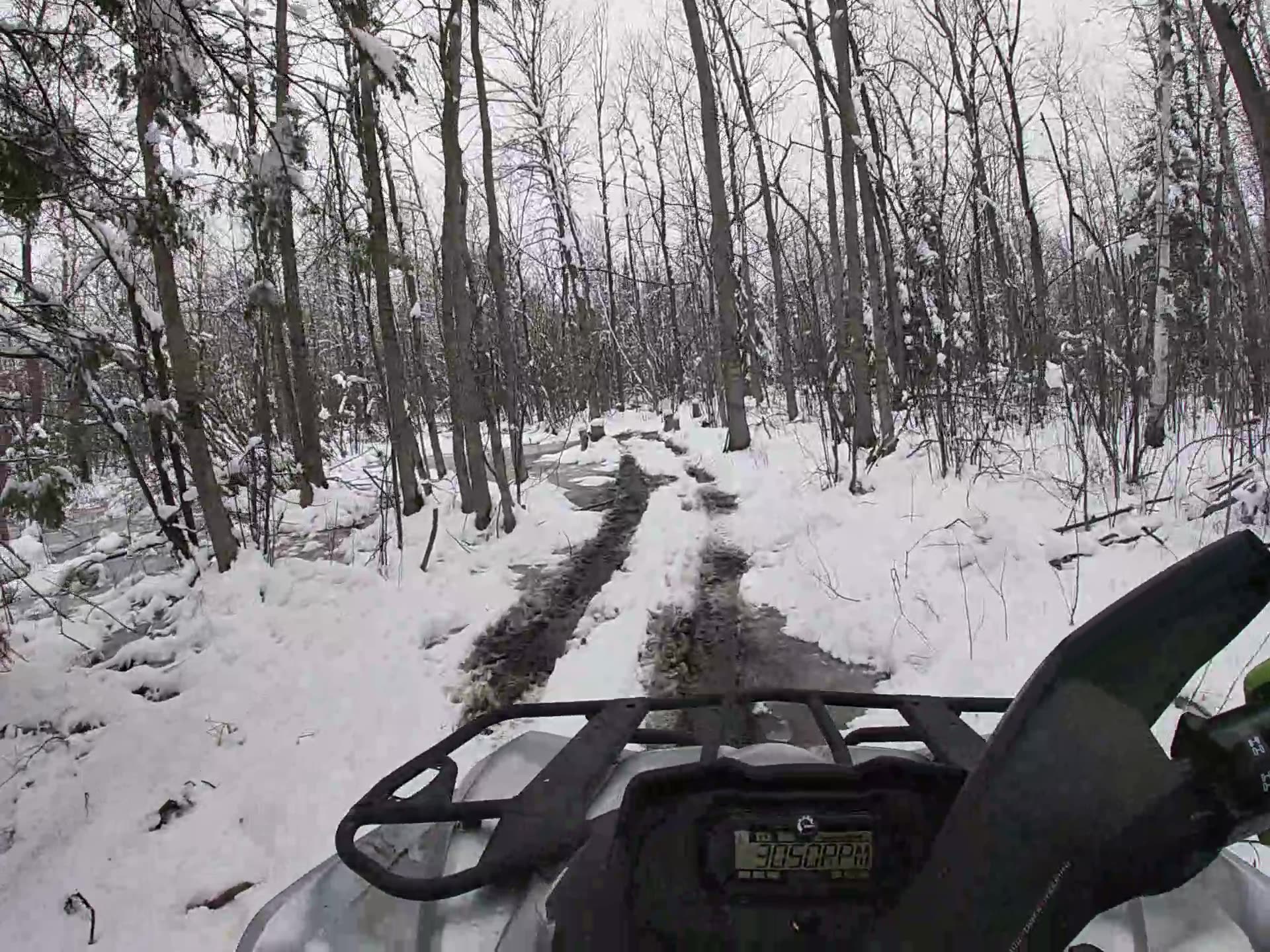Snow seeding cool season crops