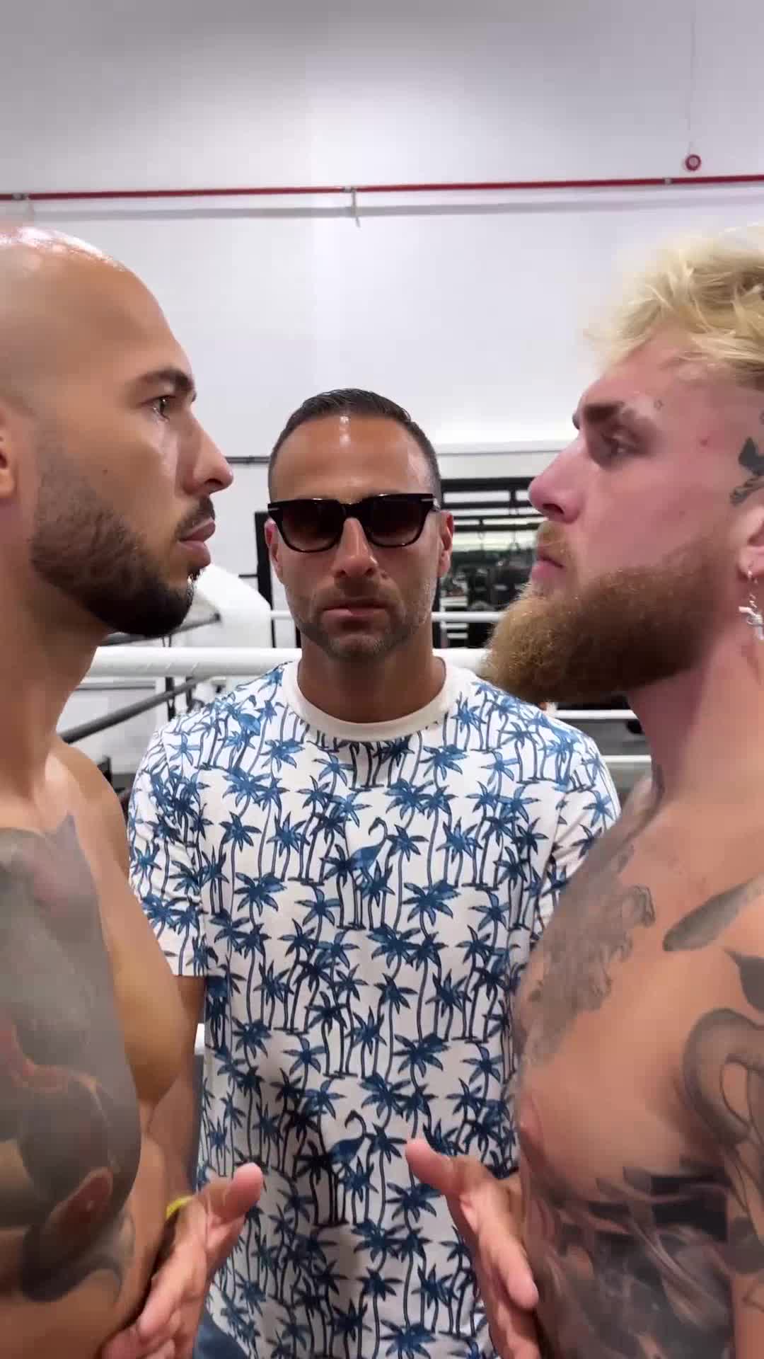 Andrew Tate vs Jake Paul