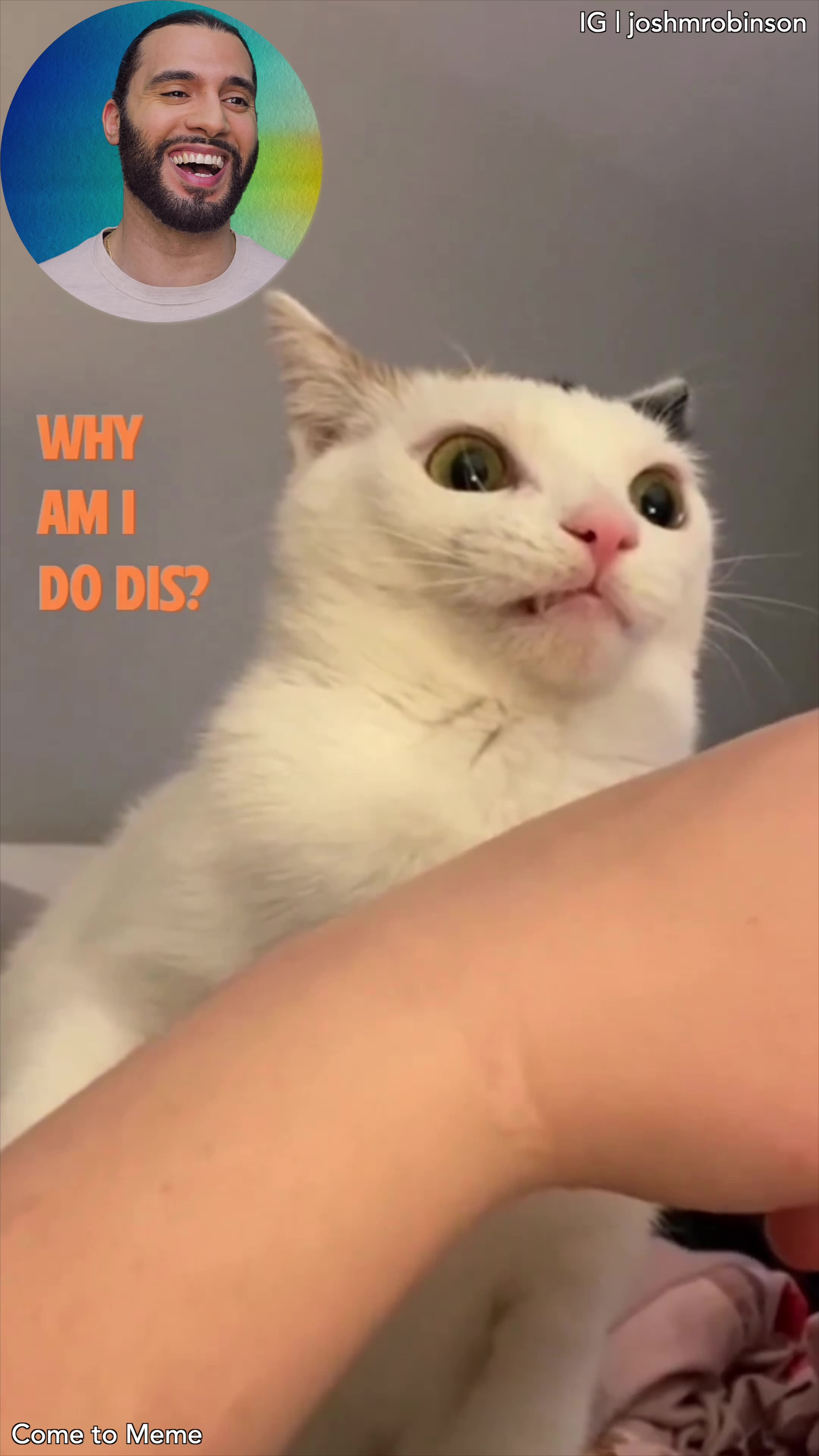 Why I'm bite hooman? 😿