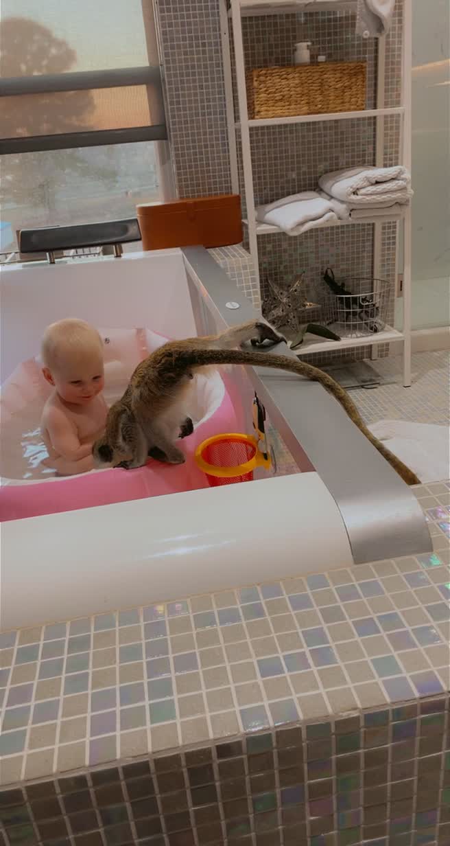 Monkey Checks Out Baby's Bath