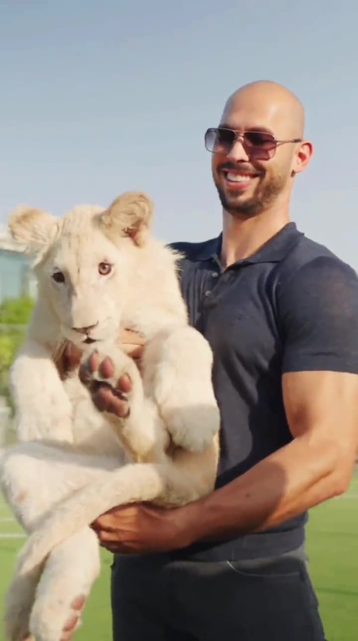 Andrew Tate - If she really loves you, evil can’t attack you