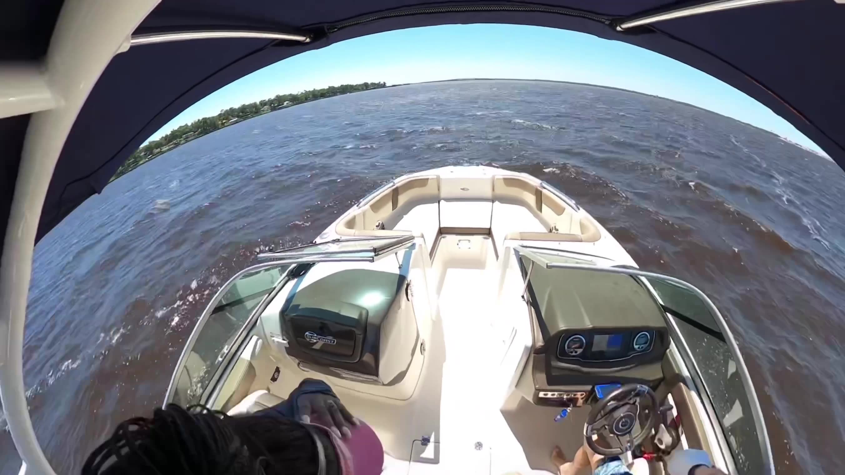 Blasian Babies Family 2019 Chaparral 210 SunCoast Spring Break 2024 ...