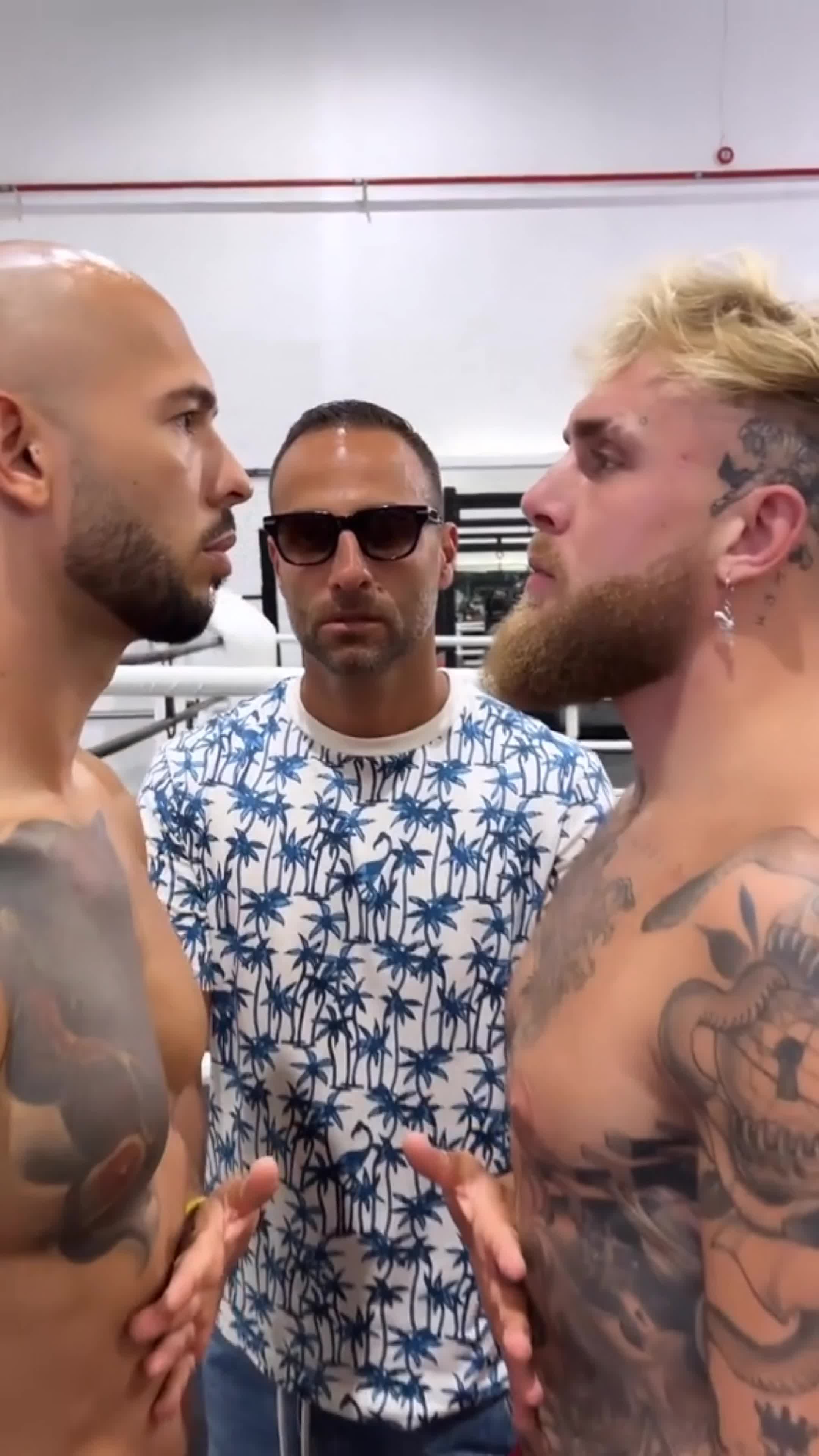 Can't believe this Andrew Tate VS Jake Paul