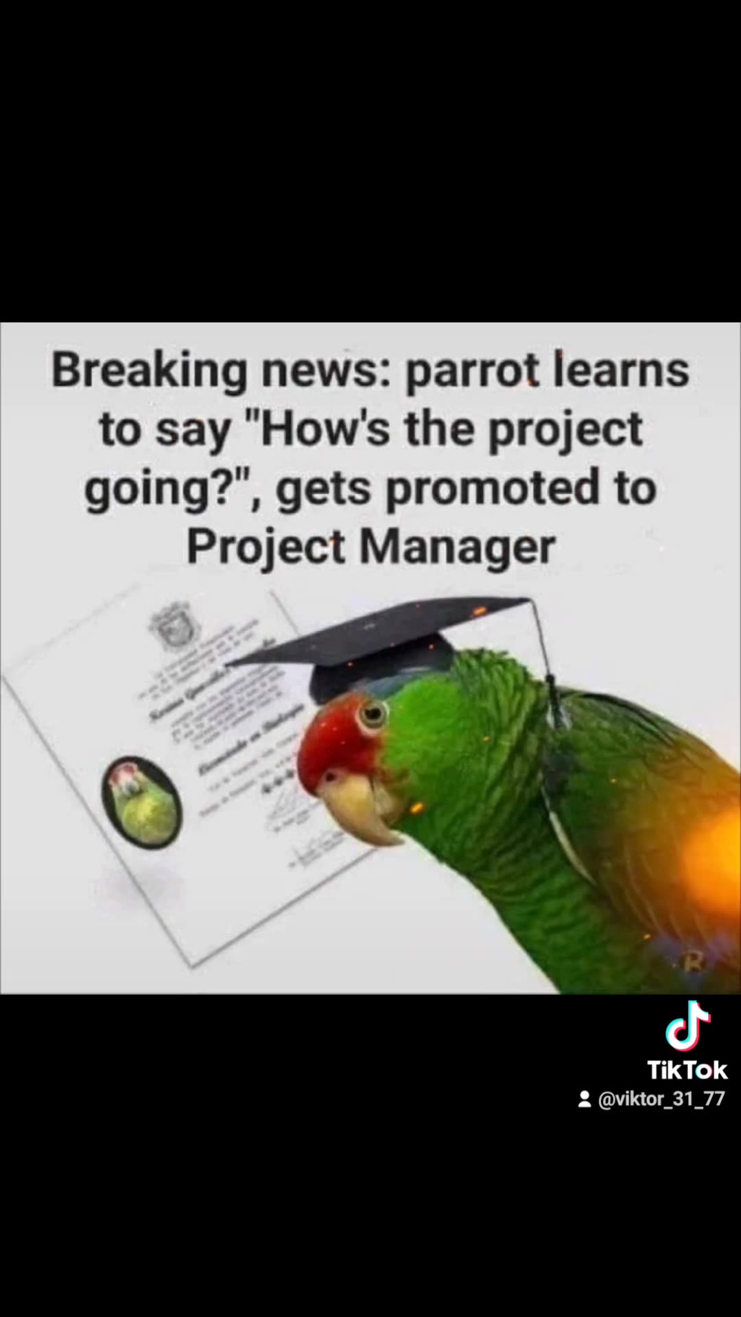 A very Smart Parrot #meme #memes #memesdaily #parrot #humor #funny