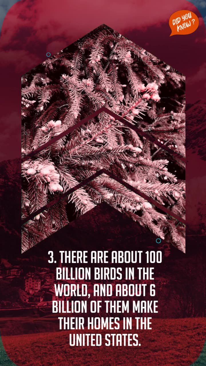 Top 5 Weird But True Facts Did You Know To WOW Everyone