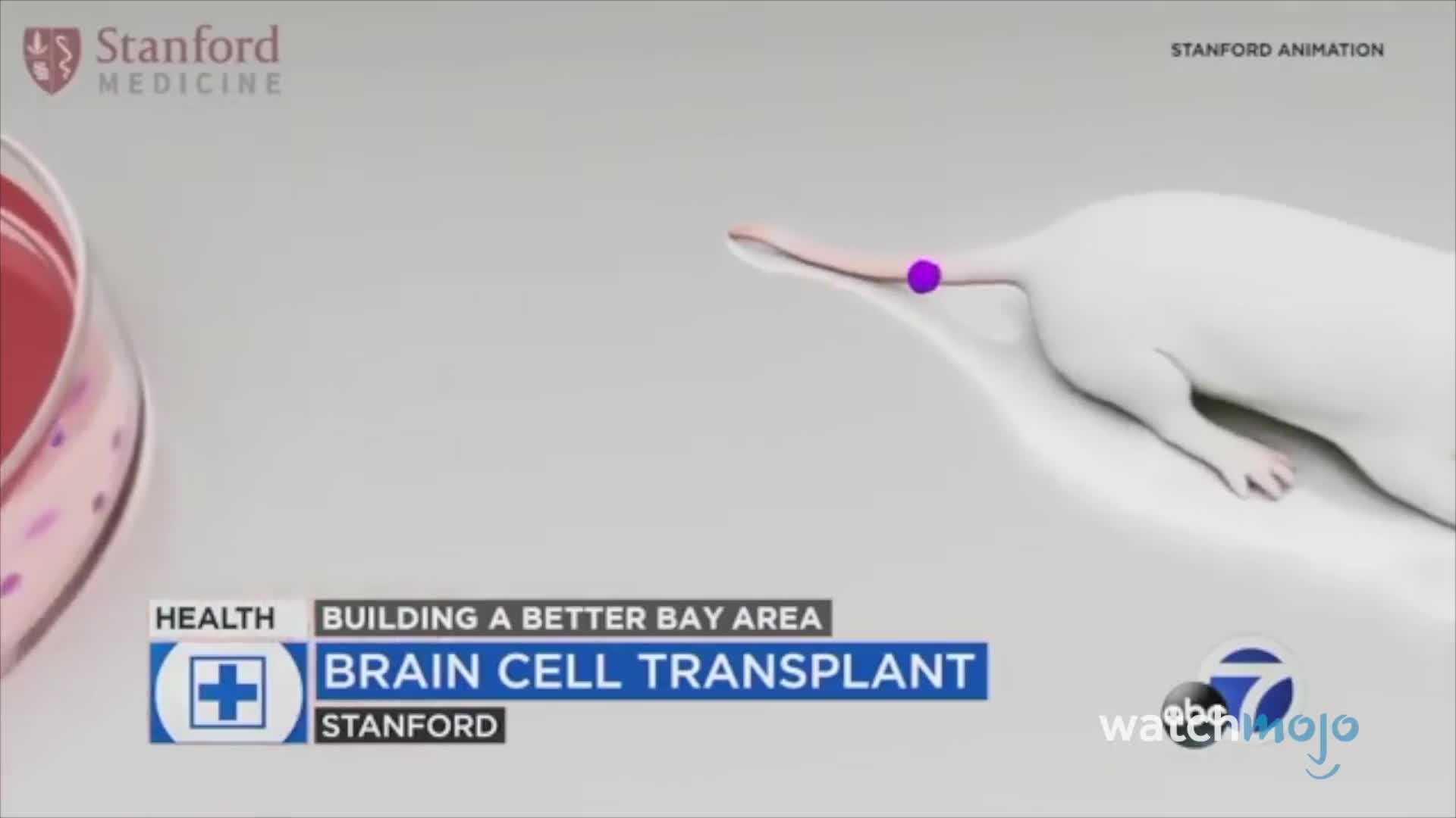 Top 10 Biggest Scientific Discoveries of 2022 Top 10 Biggest Scientific Discoveries of 2022