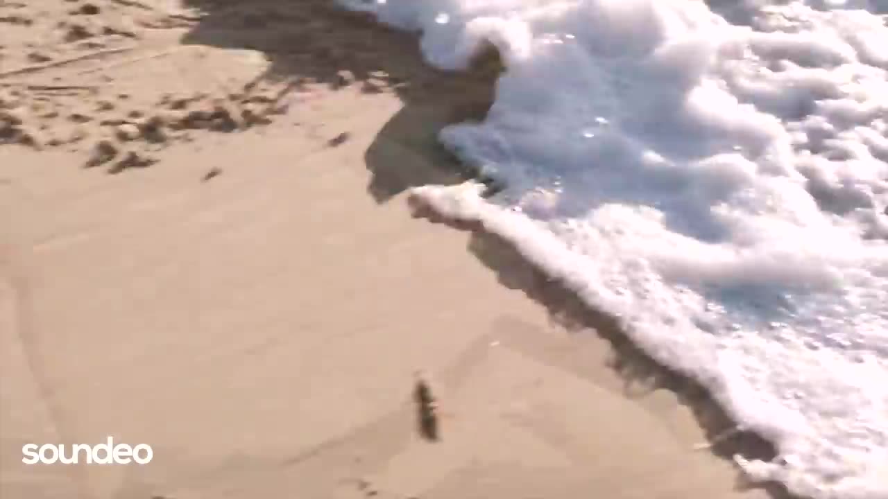 Gorgeous Music | Deep House, Vocal House, Nu Disco, Chillout | Soundeo ...