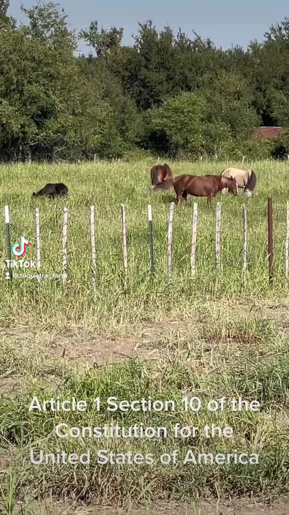 Article 1 Section 10 of the Constitution for the United States of America