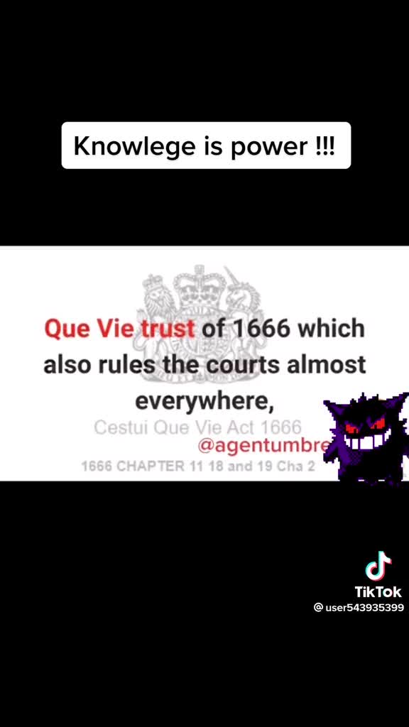 THE GREAT AWAKENING HAS BEGUN