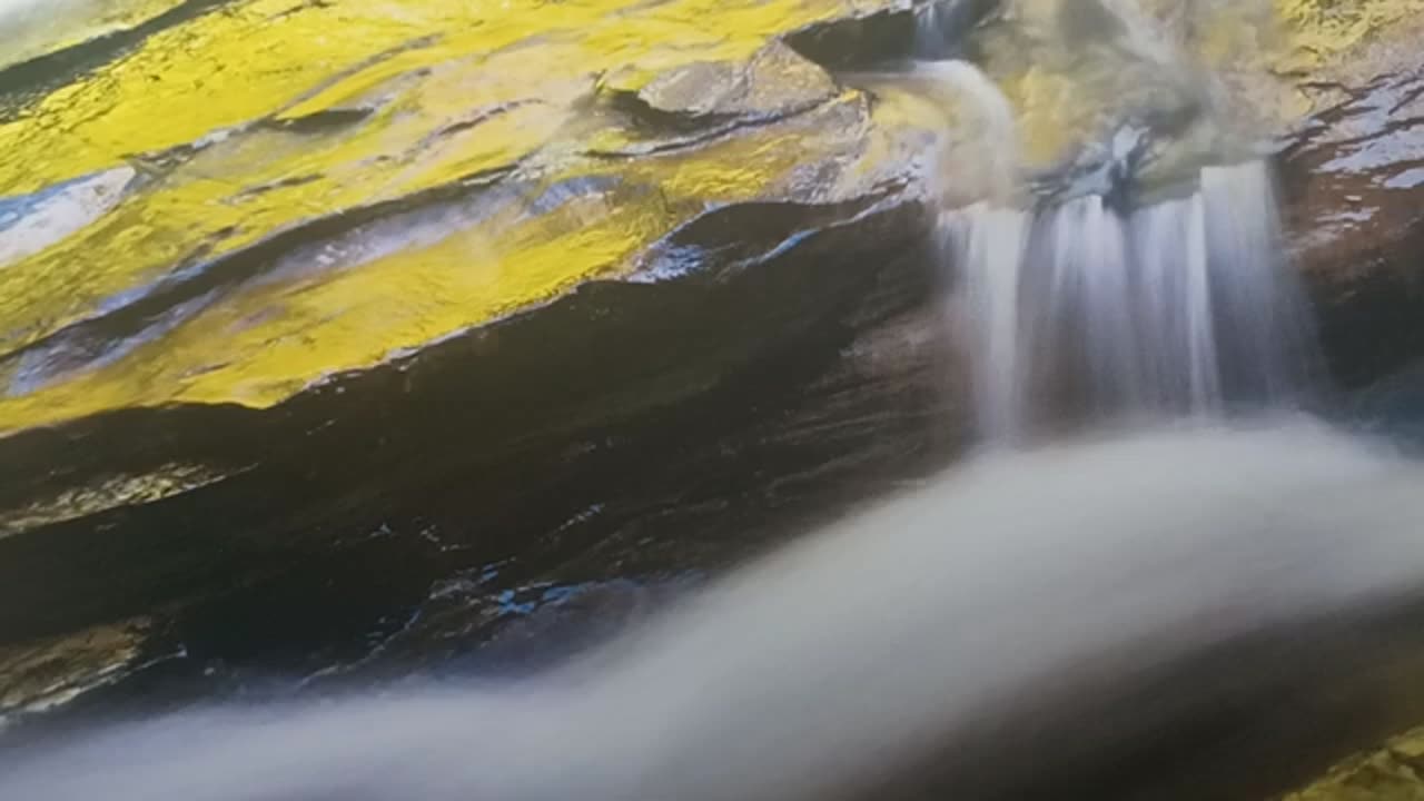 081324 Word From God -PRAYER FOR A BOUNTIFUL HARVEST OF SOULS - JULIE ...