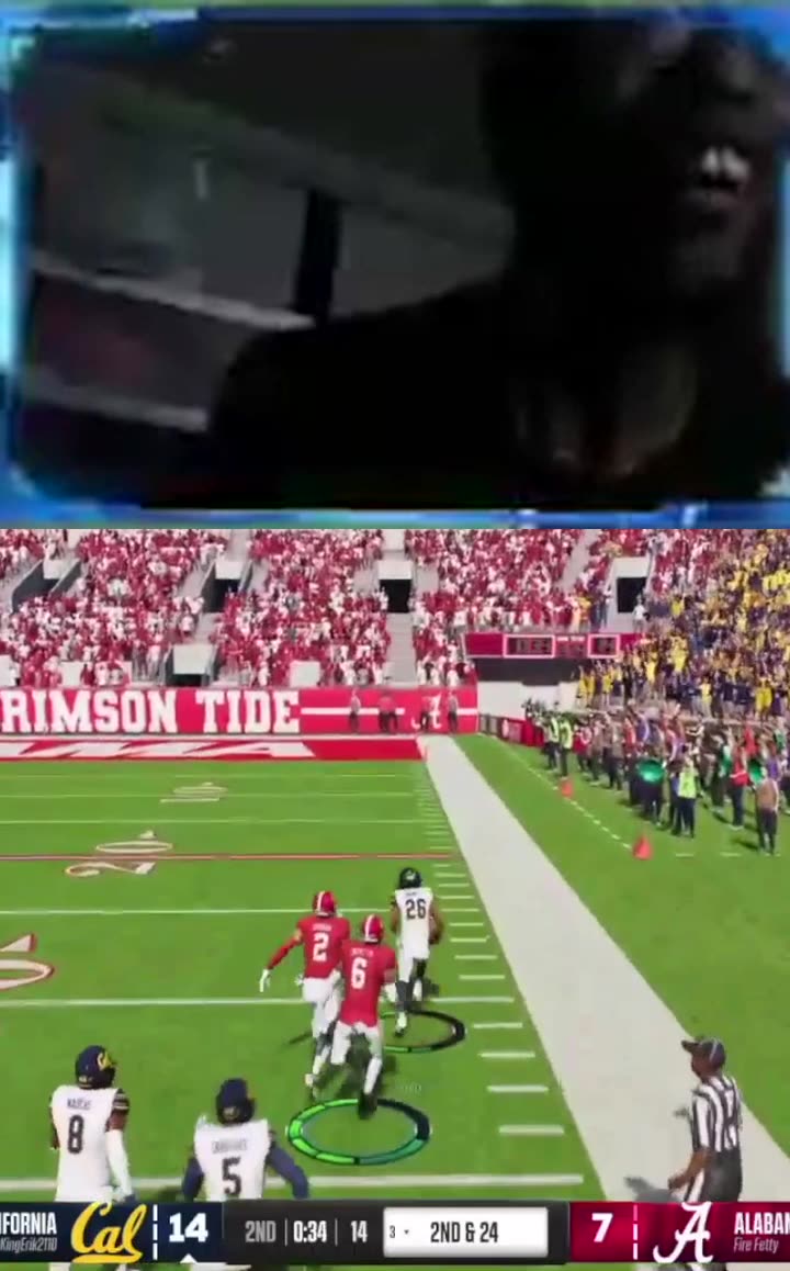 he was mad story short