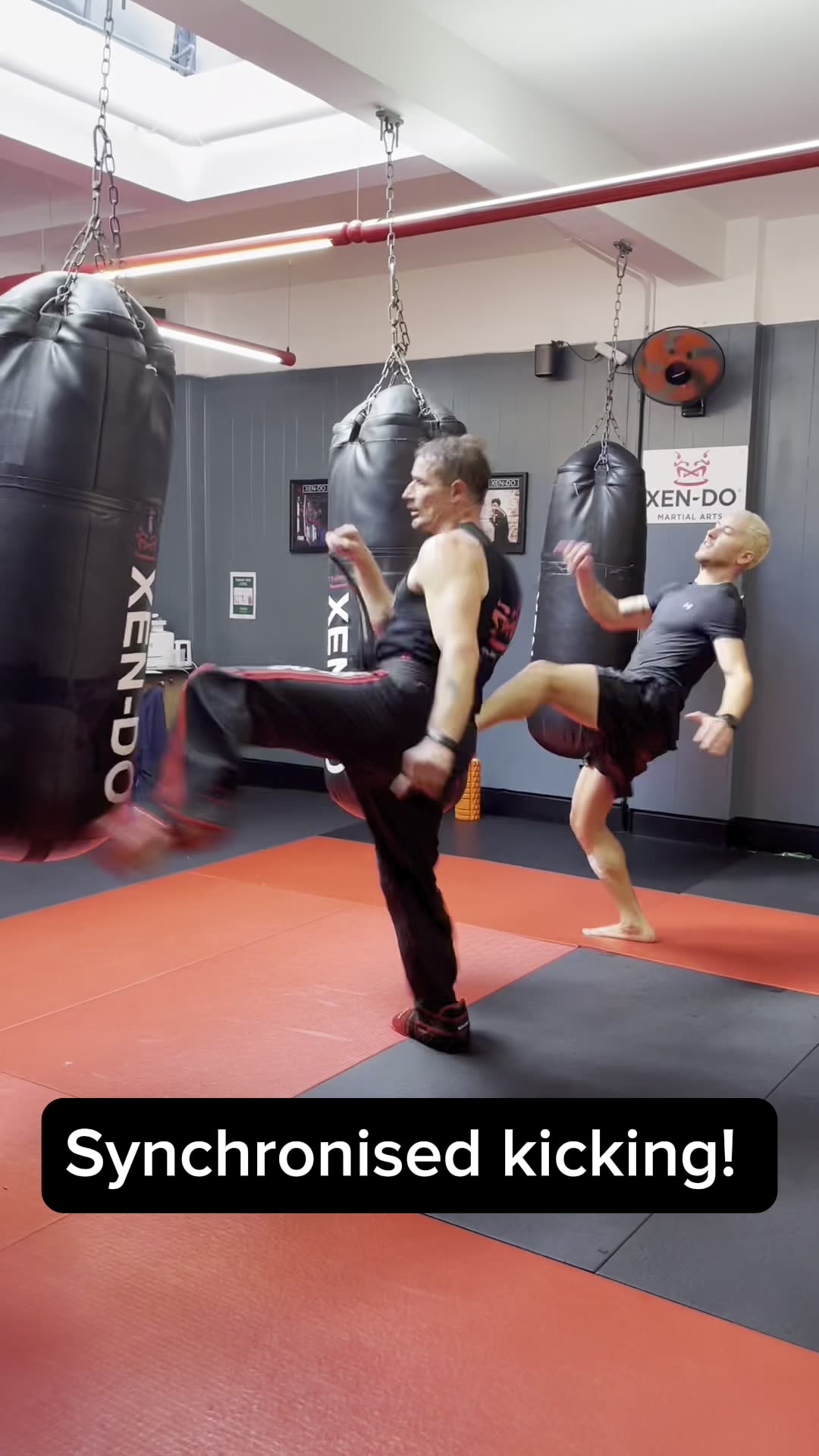 Taekwondo style jumping roundhouse-kicks