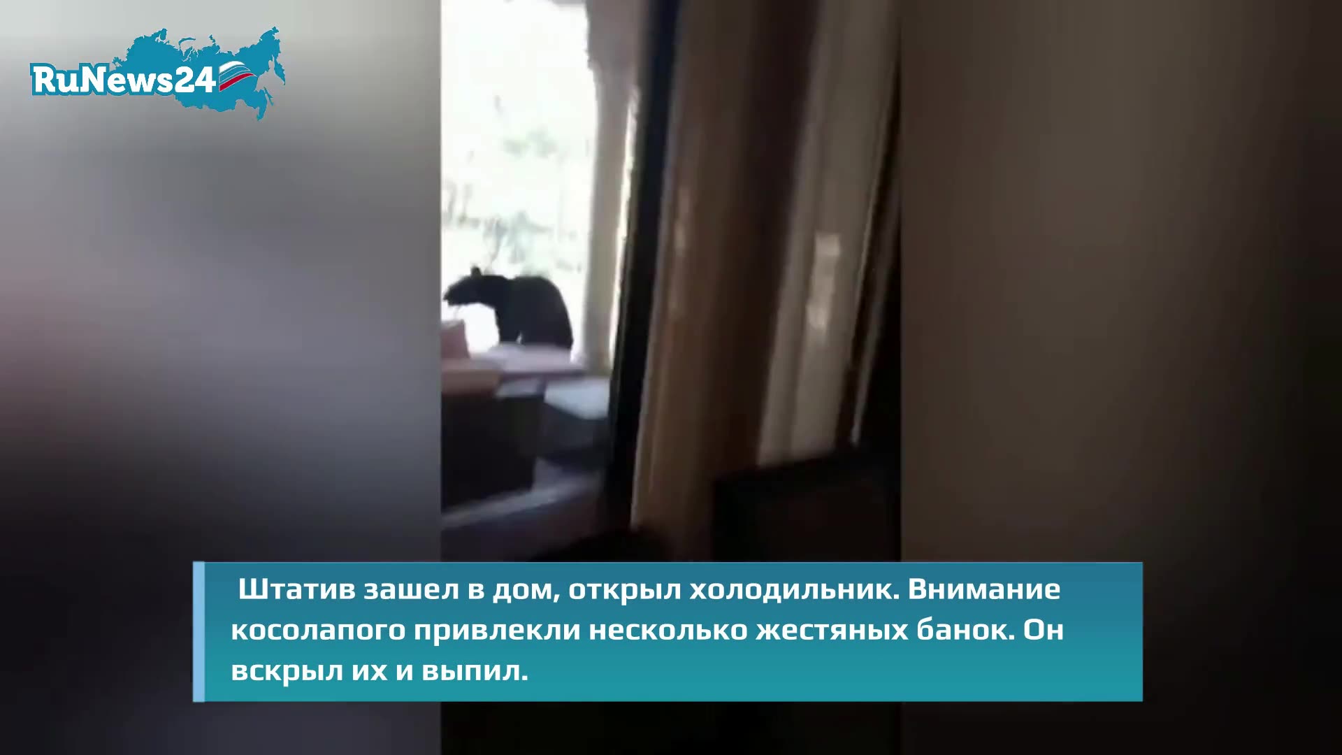In Florida, a three-legged bear named Tripod climbed into the house and ...