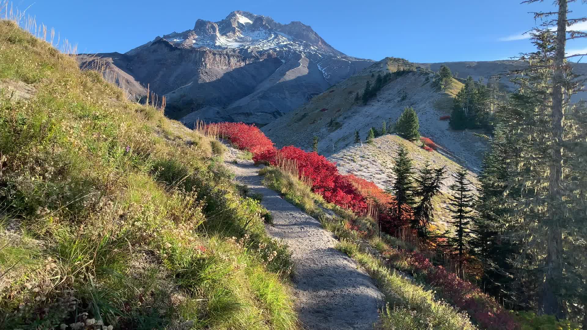 Oregon – Mount Hood – Timberline Loop – Day-Hike of SW Section – FULL ...
