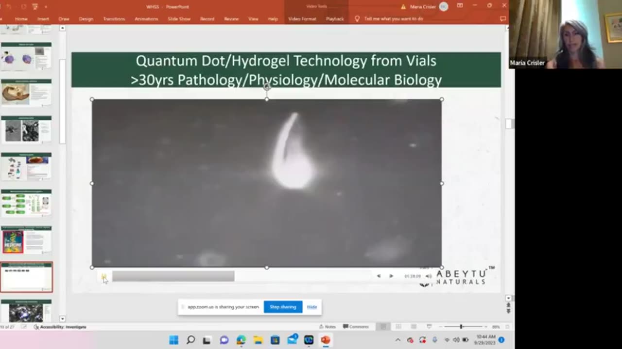 Basic Parasitology. Physiology of Interdimensional Contaminants in c19 ...