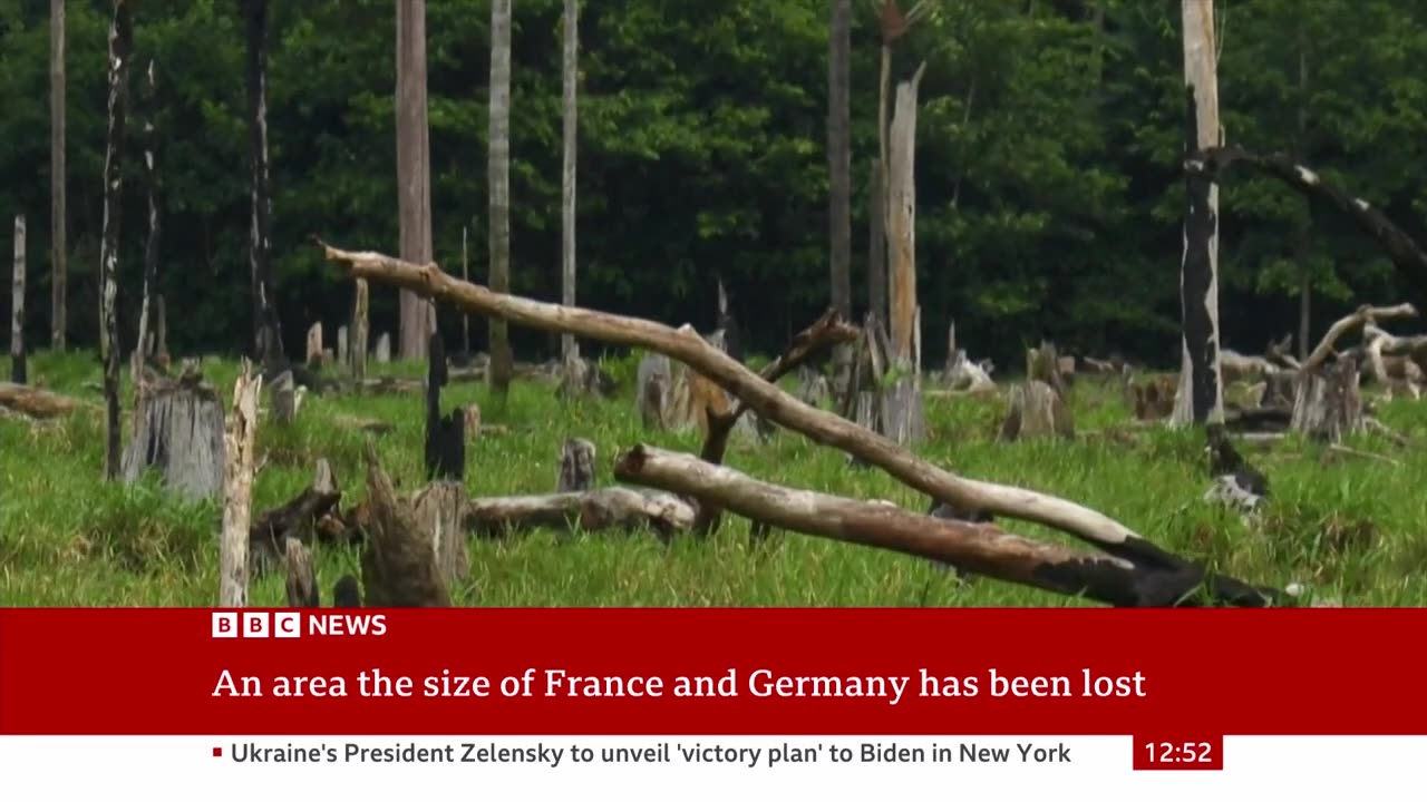 One fifth of the Amazon rainforest lost to deforestation