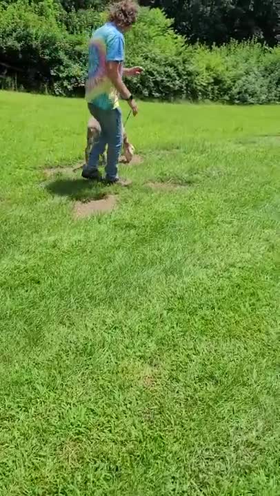 ARK OF GRACE: ARCHIE THE LAMB IS HOME FROM THE HOSPITAL! PRAISE GOD!