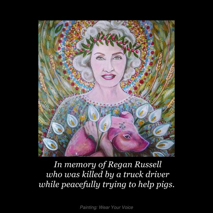 Bearing Witness to Pigs - Animal Save Movement