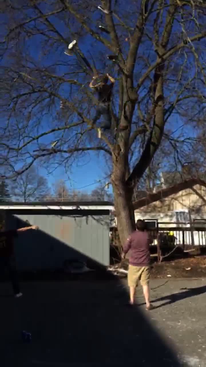 Man in black shirt falls out of tree
