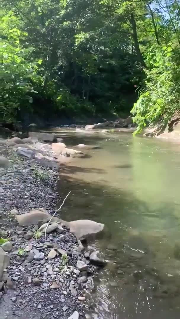 The fastest duck in the world